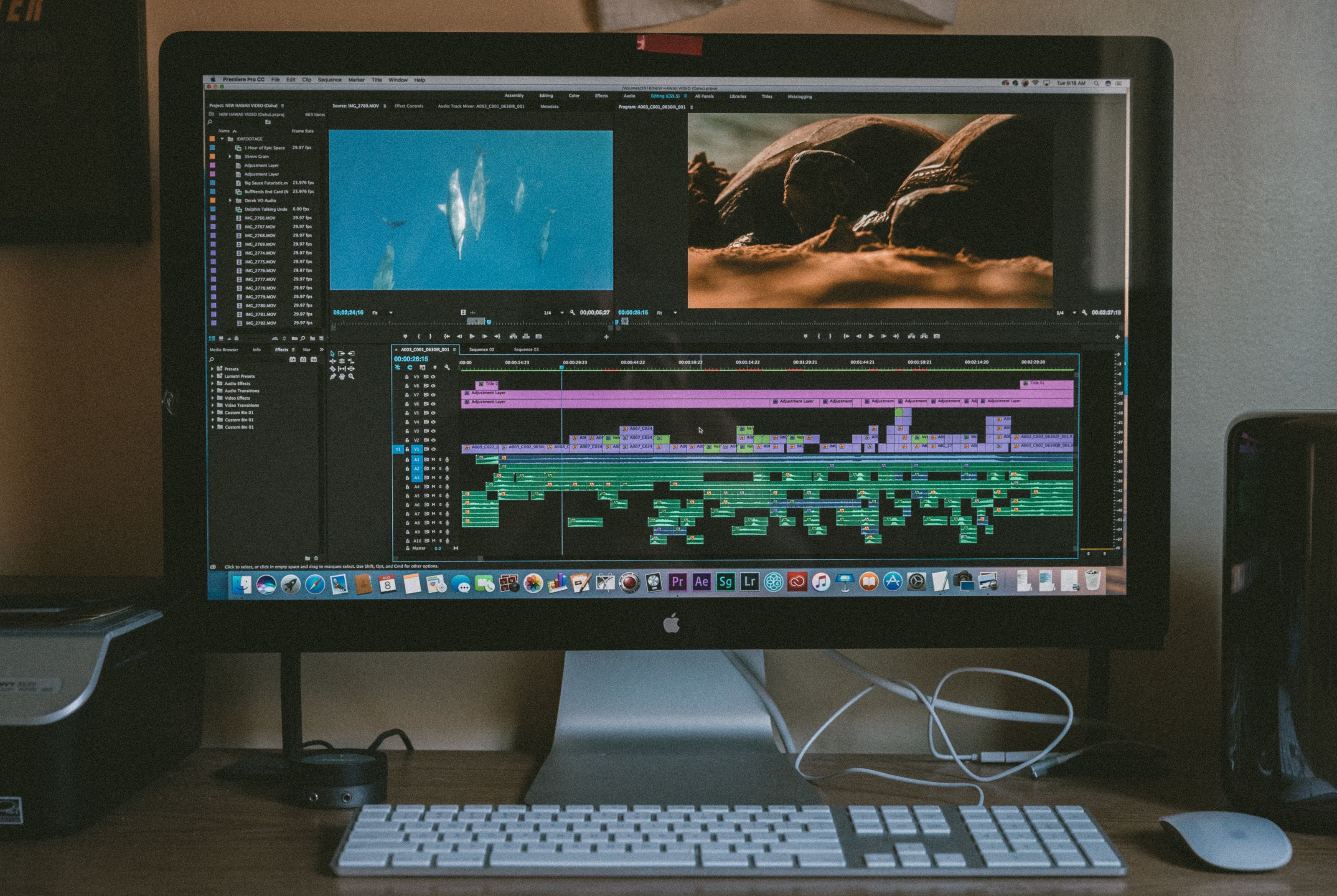 How To Fix Captions Not Showing In Premiere Pro how-to-fix-captions-not-showing-in-premiere-pro